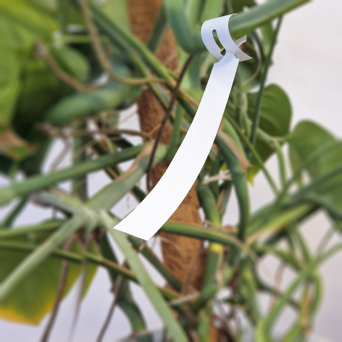 Loop lock labels and self tie labels – Felga Benelux